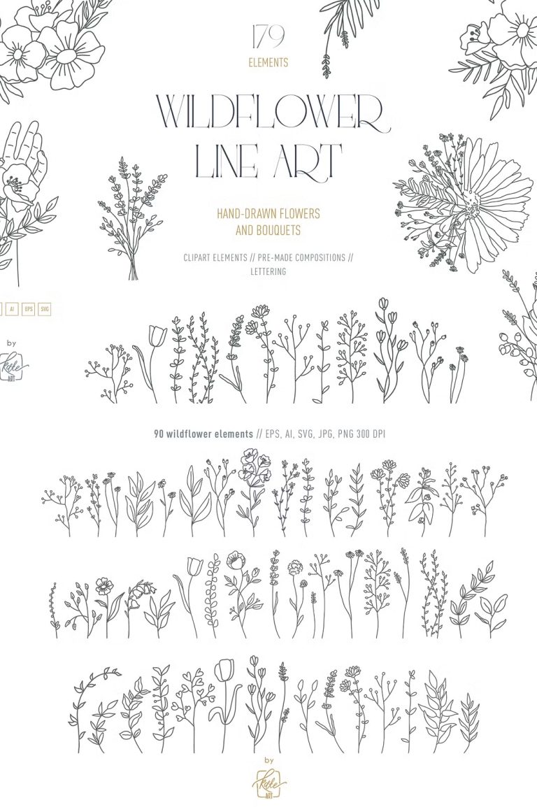 WILDFLOWER LINE ART - Hecavi - Illustrations Inspiration Website