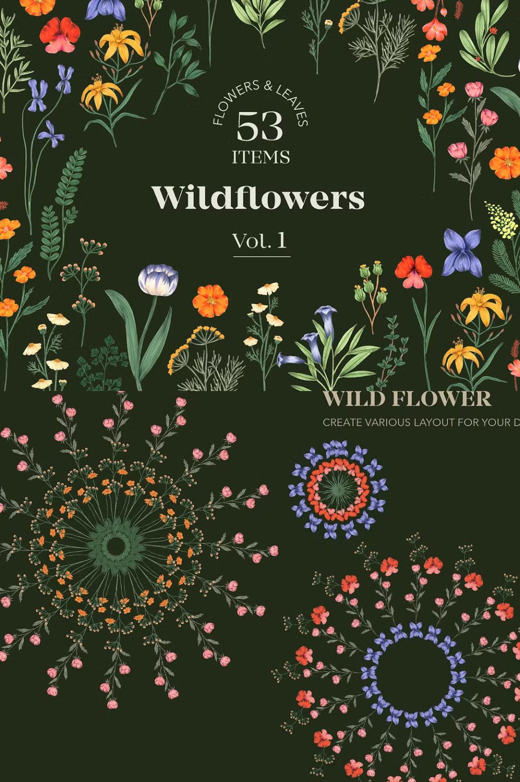 Wildflowers Garden Botanic Vol. 1 - Hecavi - Illustrations Inspiration ...