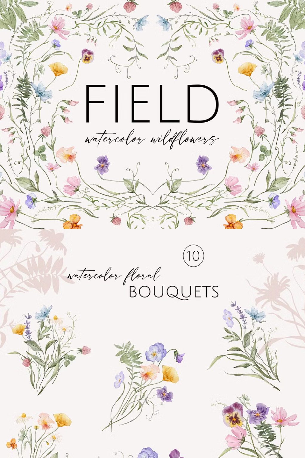 FIELD Watercolor Wildflowers - Hecavi - Illustrations Inspiration Website