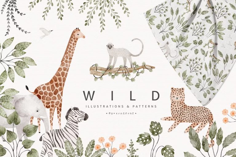 WILD illustrations&patterns - Hecavi - Illustrations Inspiration Website