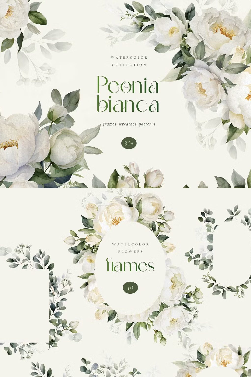 Watercolor Wedding White Peonies - Hecavi - Illustrations Inspiration ...