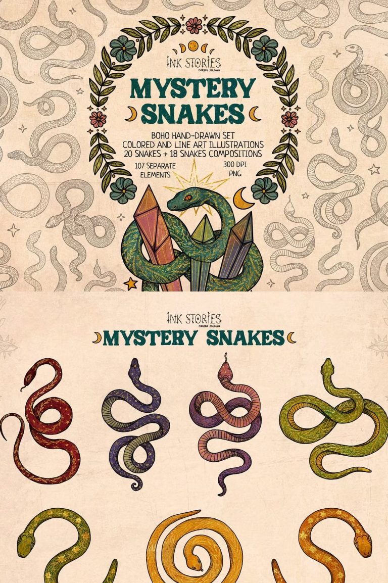 Mystery Snakes - Hecavi - Illustrations Inspiration Website
