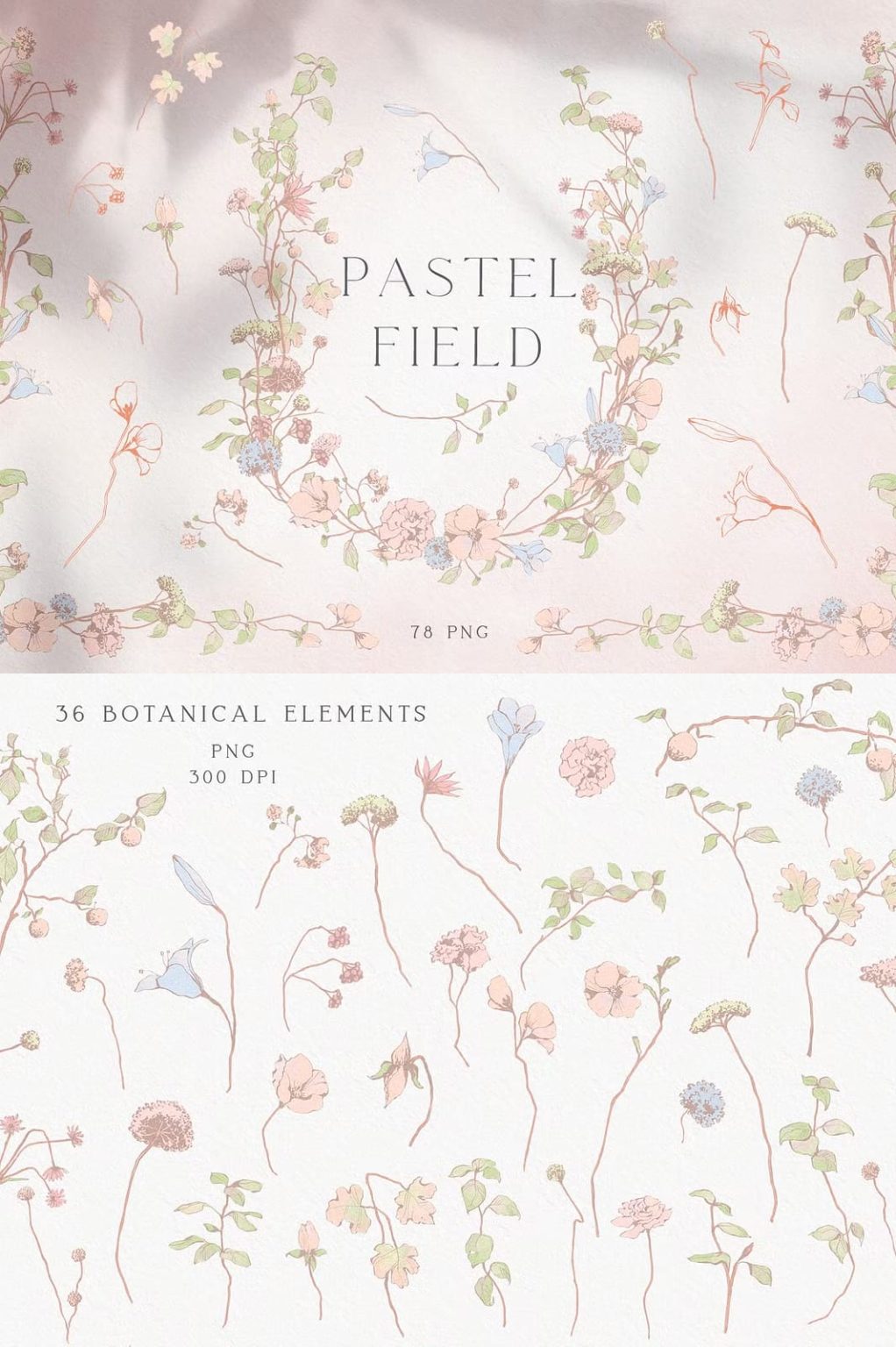 Pastel Floral Collection - Hecavi - Illustrations Inspiration Website