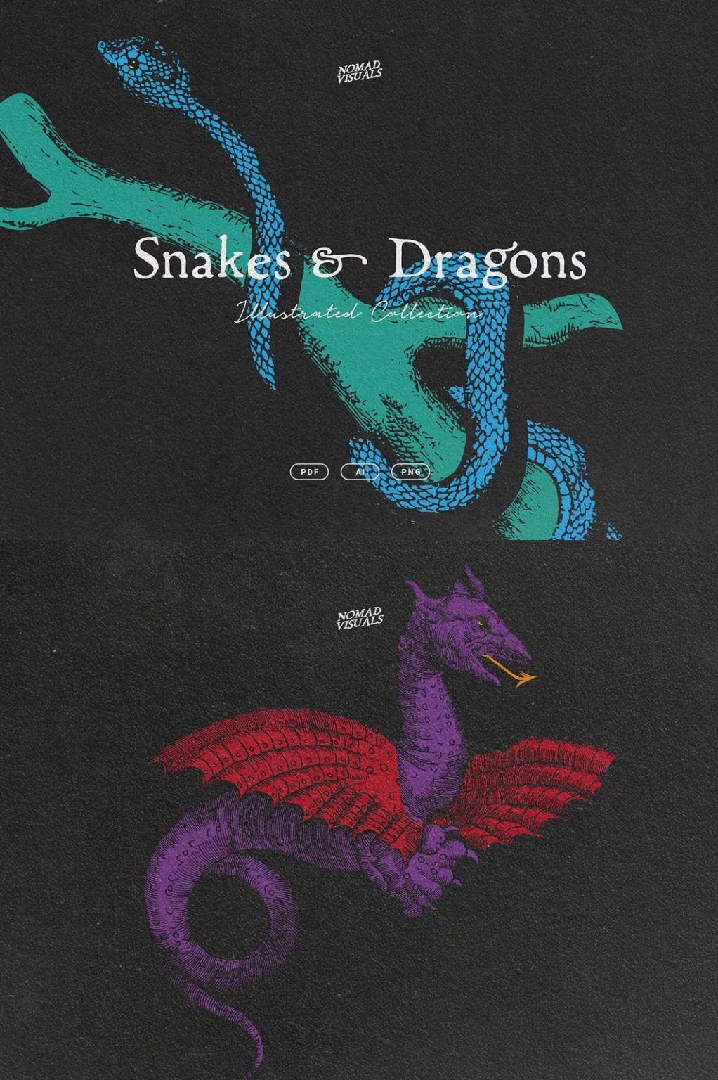 Snakes & Dragons - Hecavi - Illustrations Inspiration Website