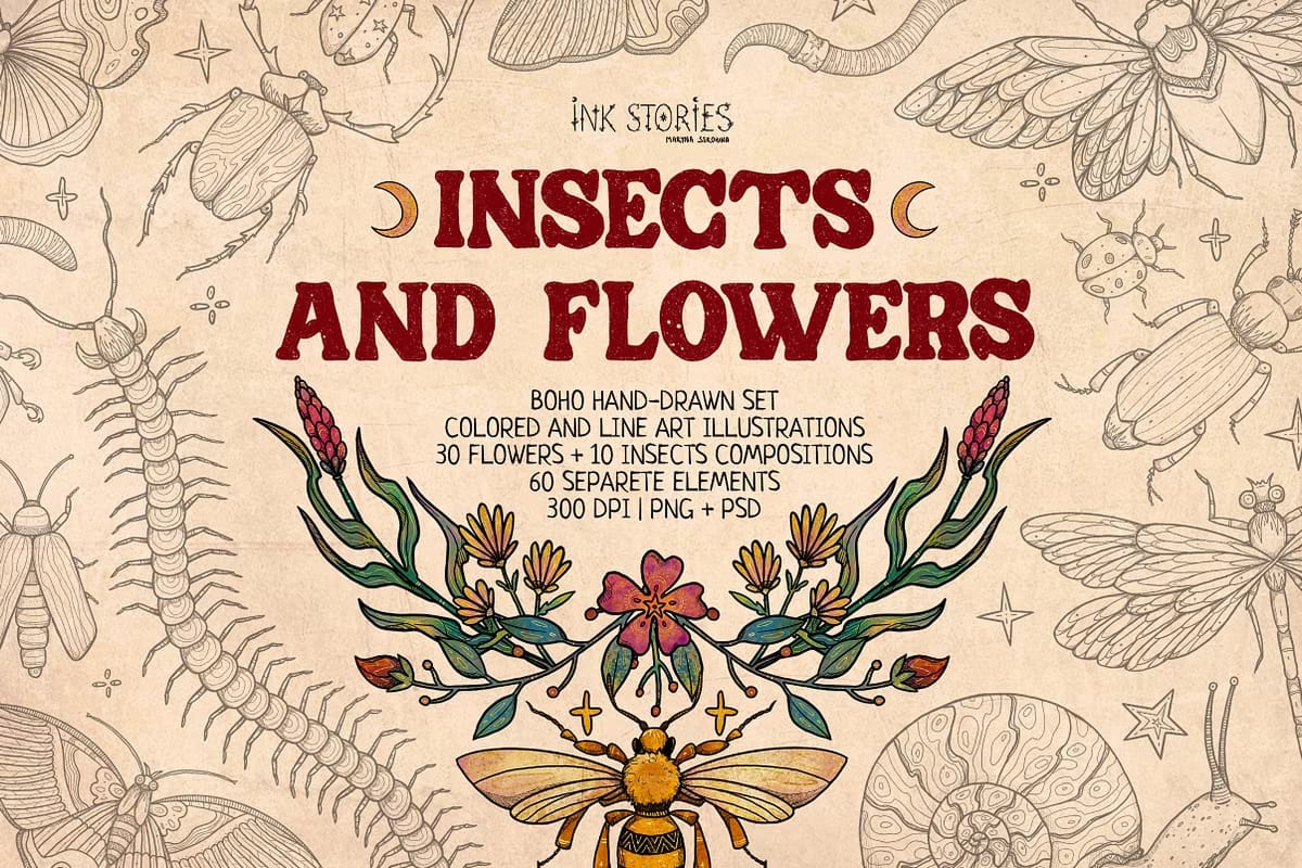 Insects and Flowers - Hecavi - Illustrations Inspiration Website