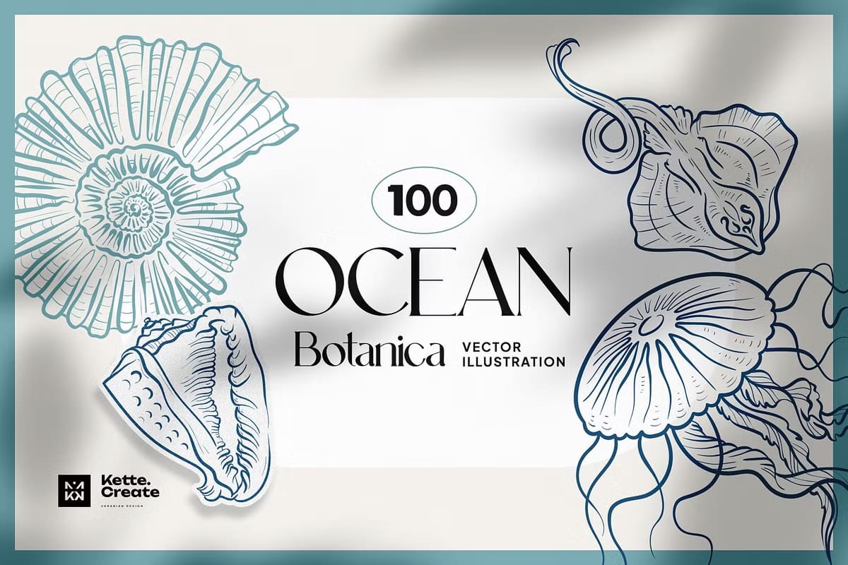 Ocean Botanica - Hecavi - Illustrations Inspiration Website