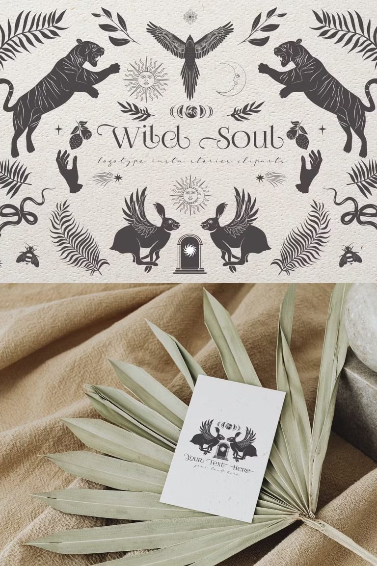 Wild Soul Logo & Insta Stories - Hecavi - Illustrations Inspiration Website