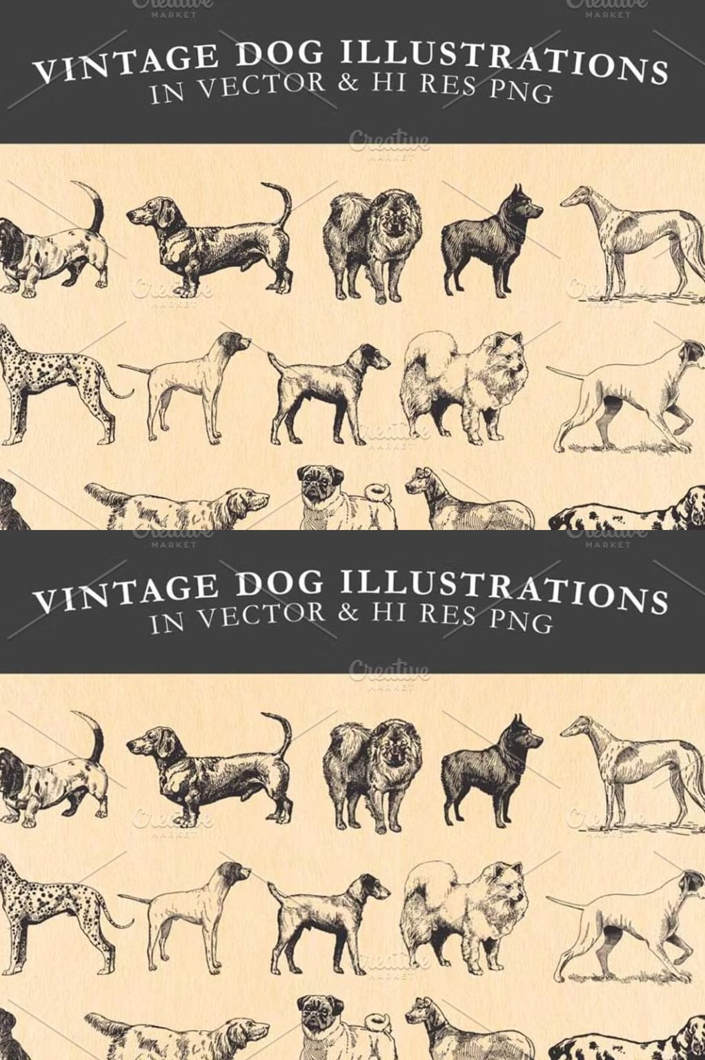 Vintage Dog Illustrations Vector - Hecavi - Illustrations Inspiration ...