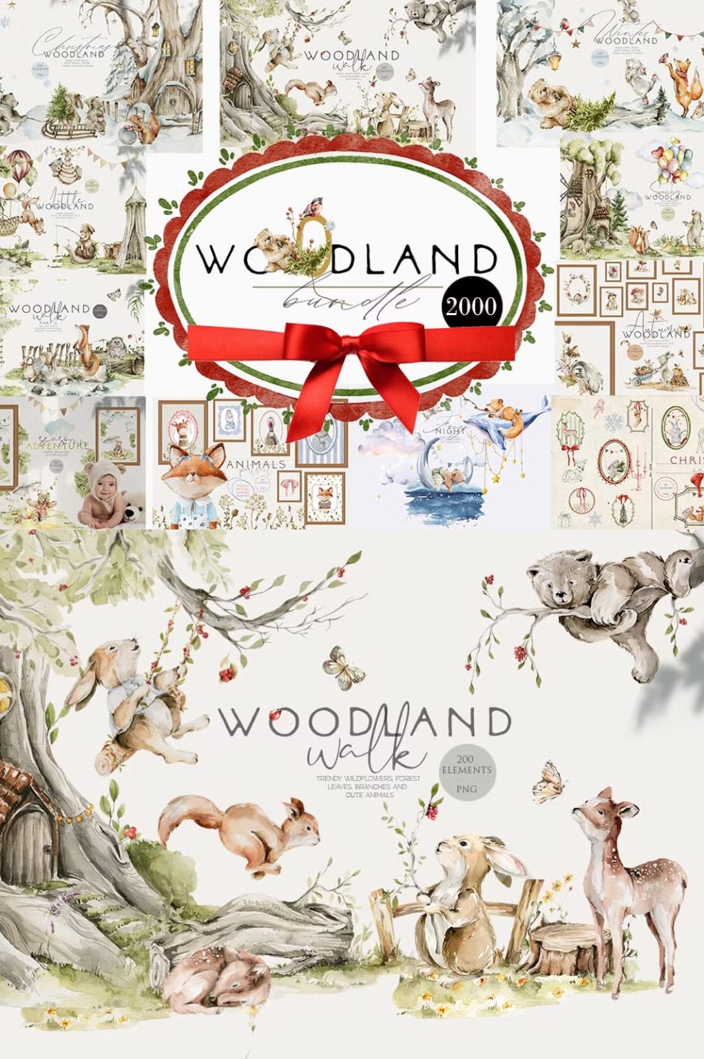 Woodland Animals Bundle 2000 - Hecavi - Illustrations Inspiration Website