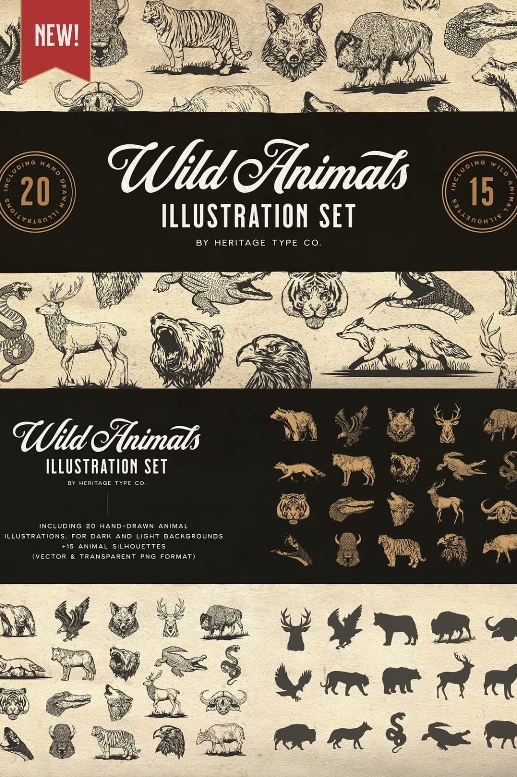 Wild Animals - Illustration Set - Hecavi - Illustrations Inspiration ...