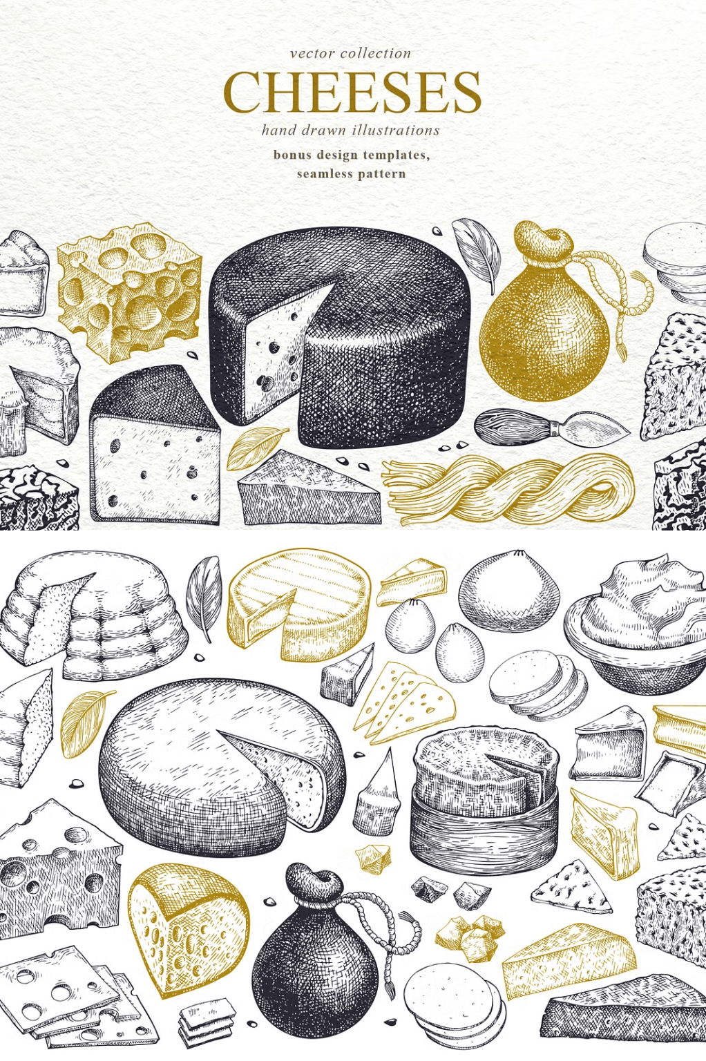 Cheeses Vector Collection - Hecavi - Illustrations Inspiration Website