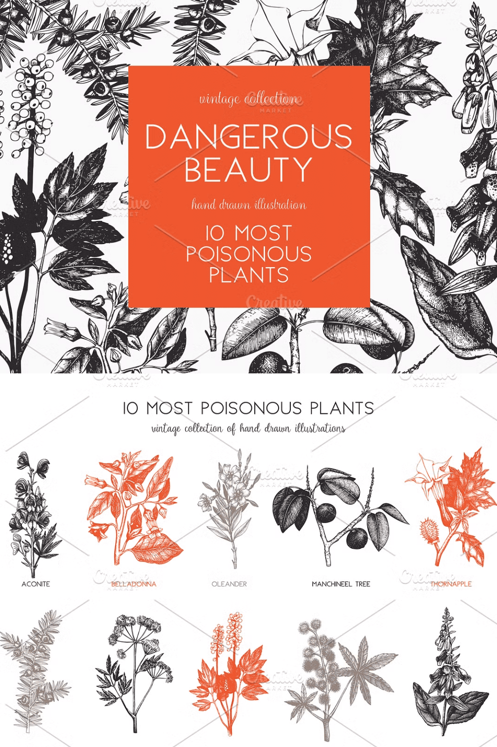 10 Most Poisonous Plants. Vector Set - Hecavi - Illustrations ...