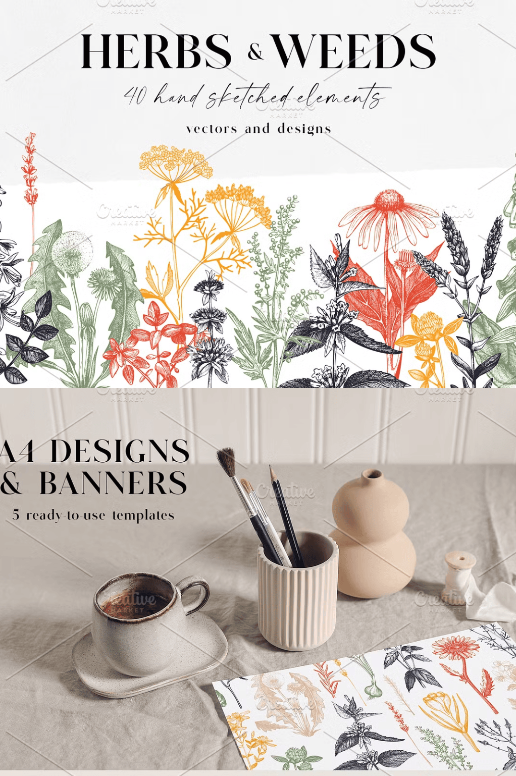Medicinal Herbs Vector Bundle - Hecavi - Illustrations Inspiration Website
