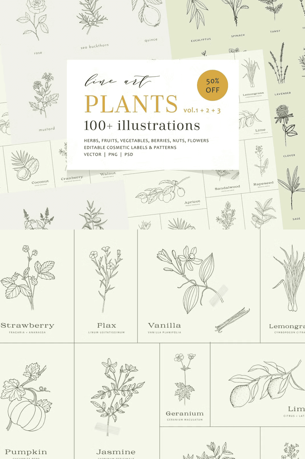 100+ Plants Bundle | Vol. 1 + 2 + 3 - Hecavi - Illustrations ...